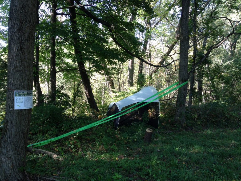 Swan Lake Trap Set Up and Ready To Go | School Malaise Trap Program